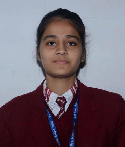 Rosary Sr. Sec. School Delhi | CBSE TOPPERS XII
